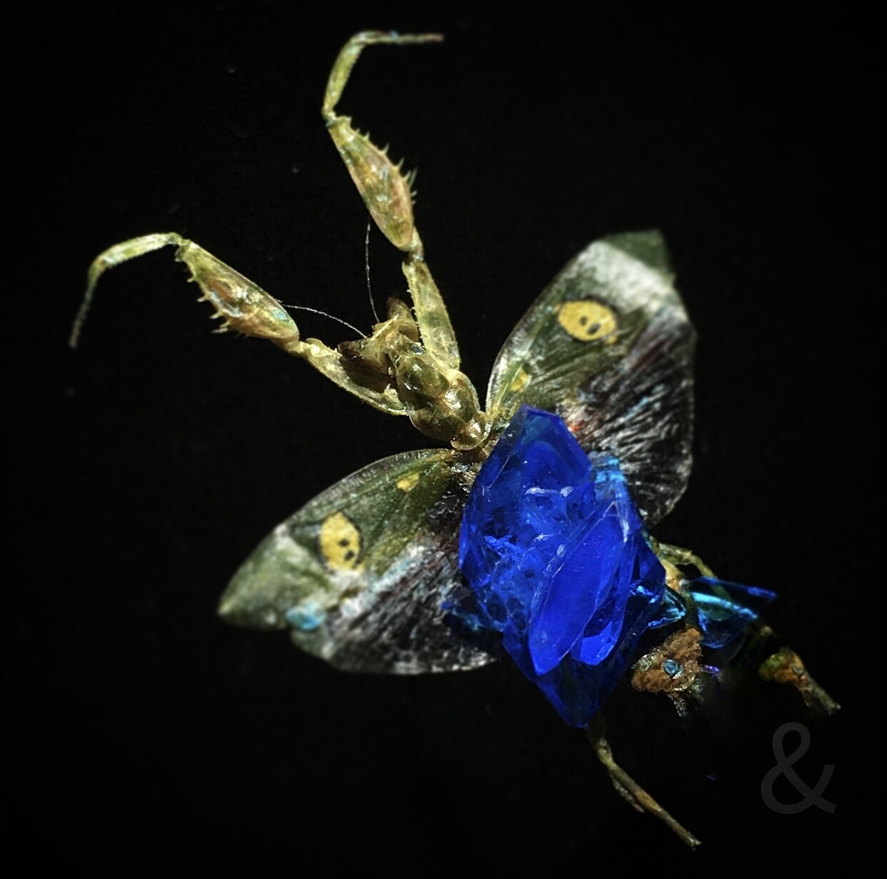 Flower Mantis & Blue Crystals