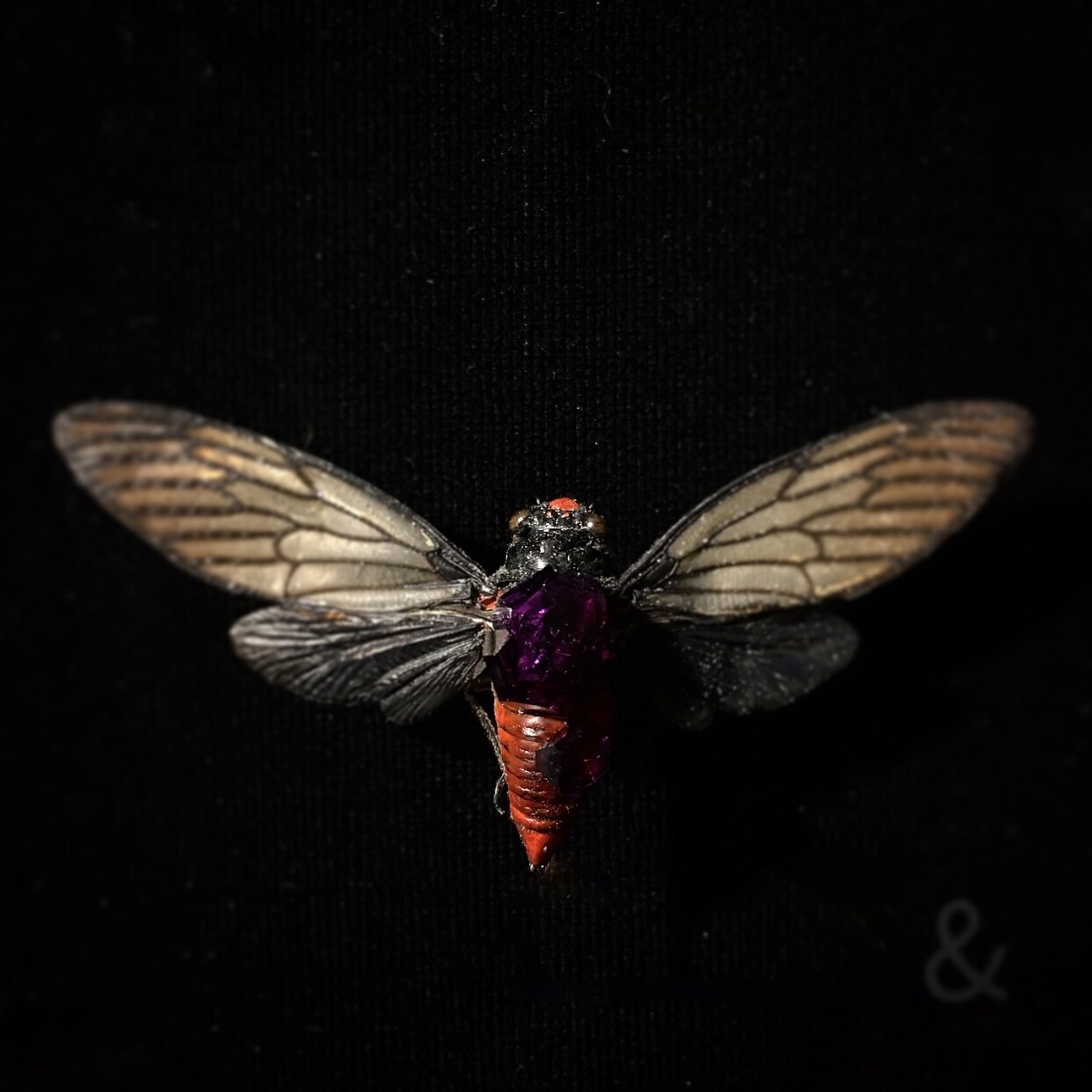 Red Devil Cicada & Purple Crystals