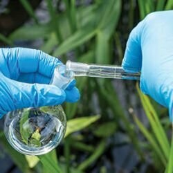 RCRA 8 Protocol - for Water