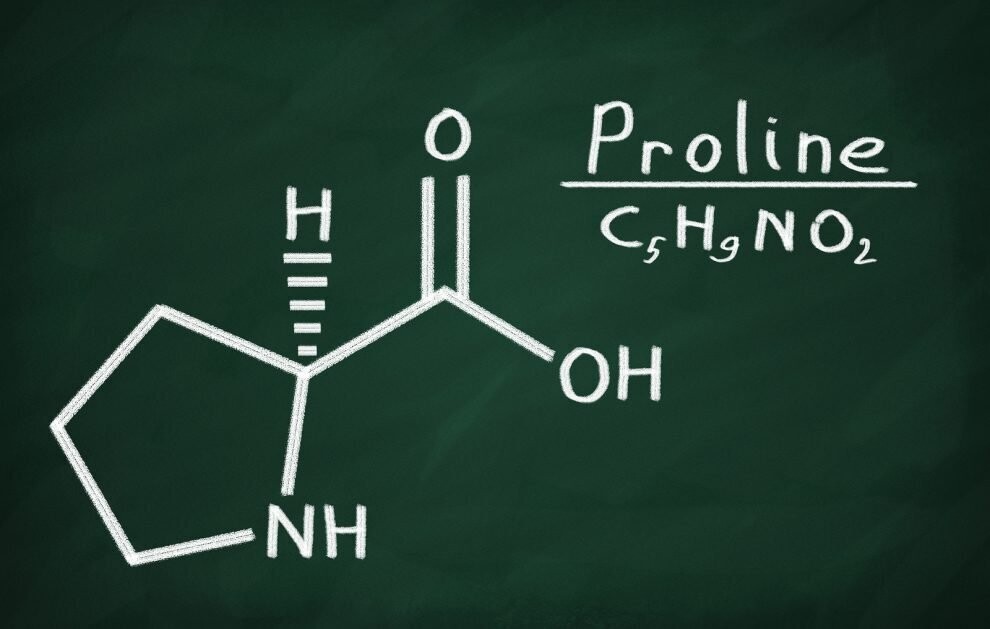 Proline Test (Relative Plant Stress)