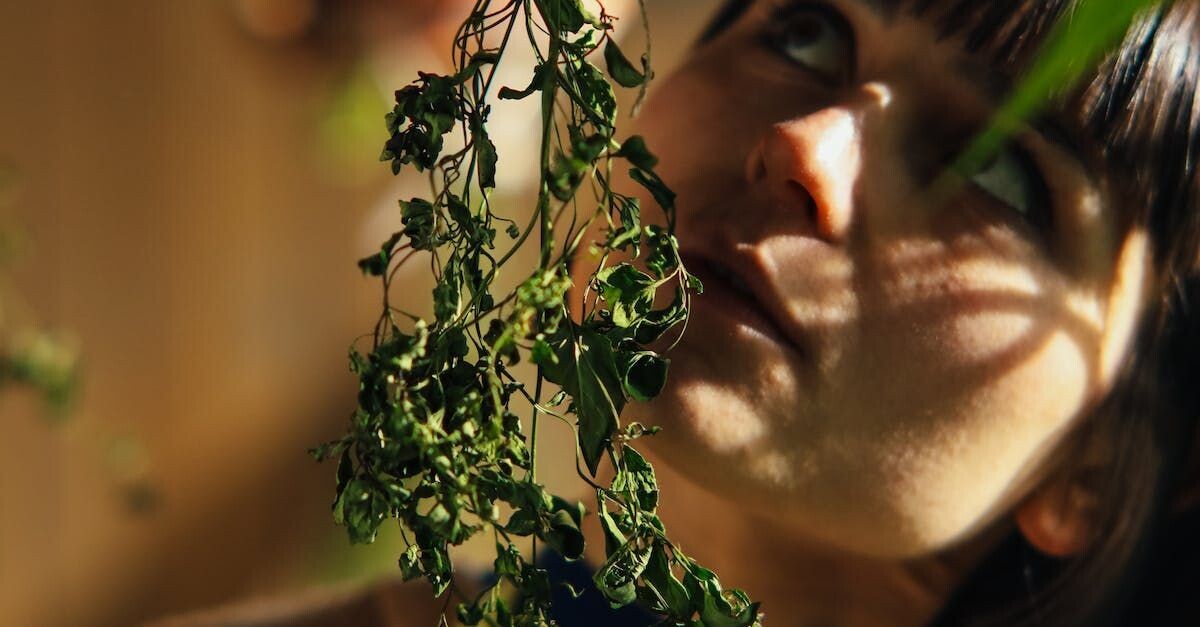 Proline Test (Relative Plant Stress)