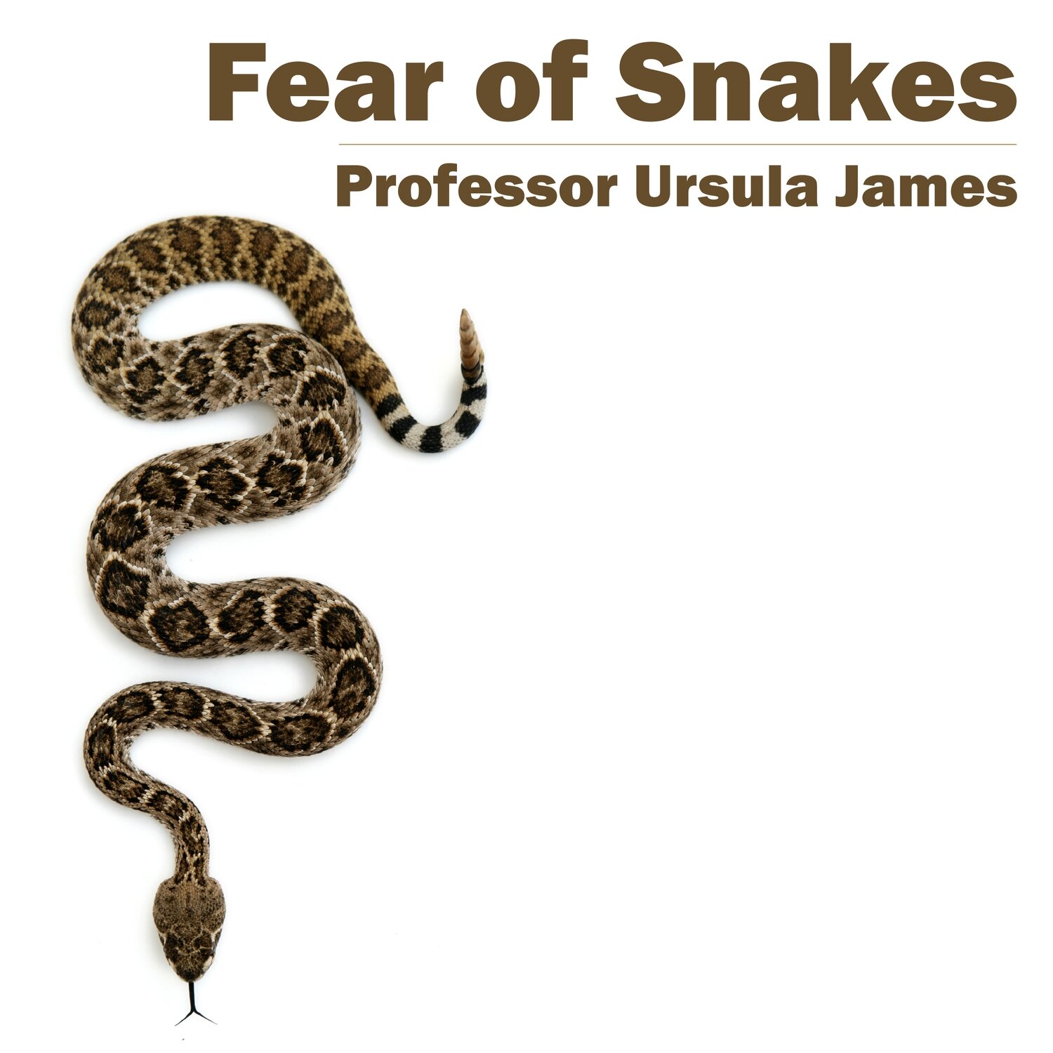 Fear of Snakes MP3 by Professor Ursula James