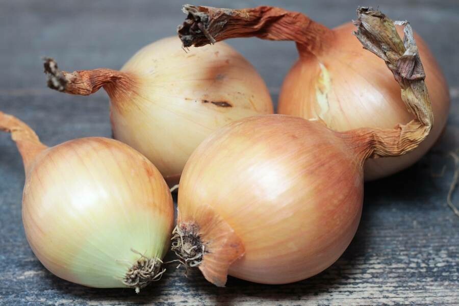 Oignons jaunes Bio Suisse