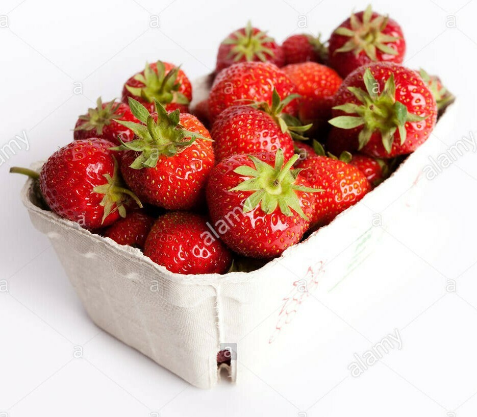 Barquette de fraise Bio Suisse