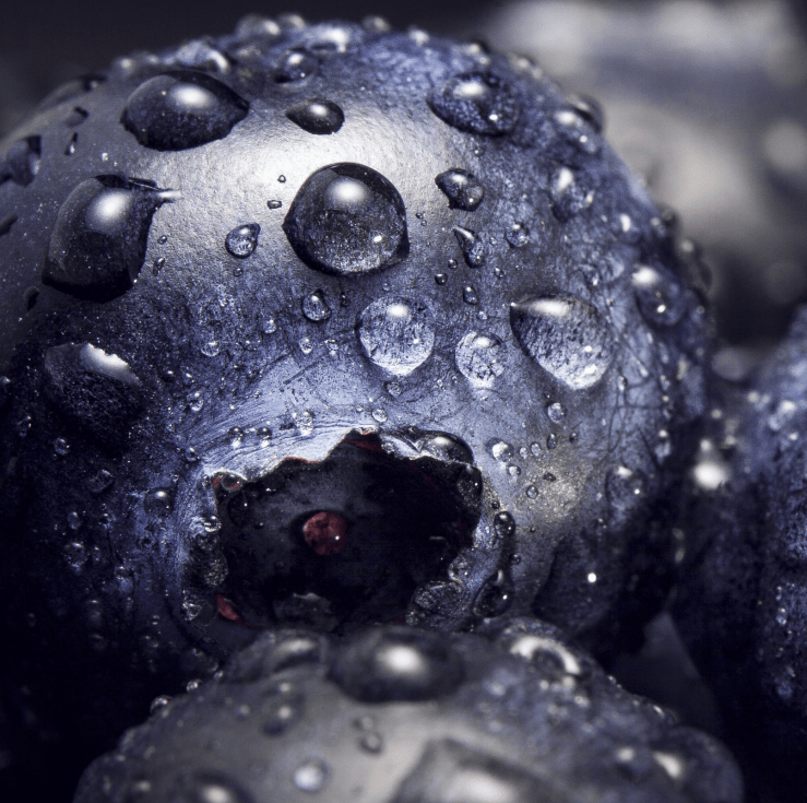 Blueberry Table Skin-Table Wrap - Custom Tablecloths - We make any size ...