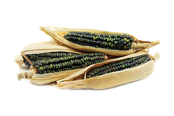 Corns