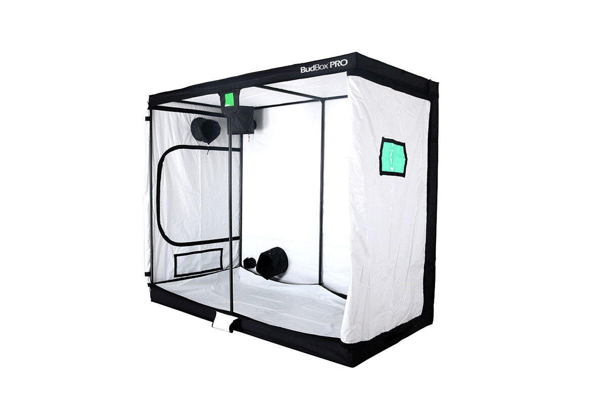 Bud Box Pro White XXL