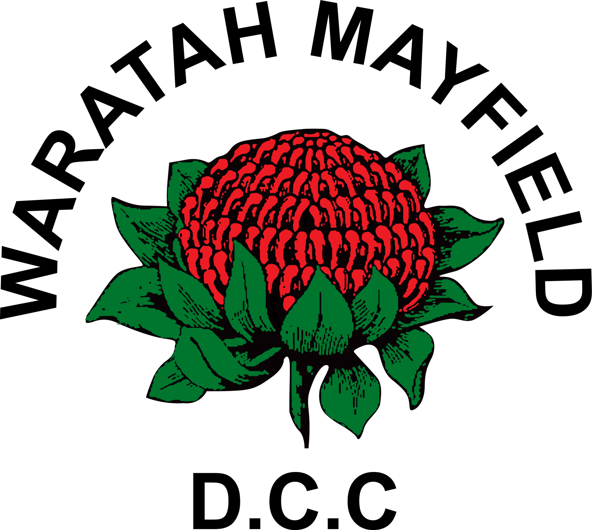 Waratah Mayfield District Cricket Club