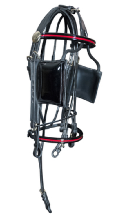 Fine Harness Bridle