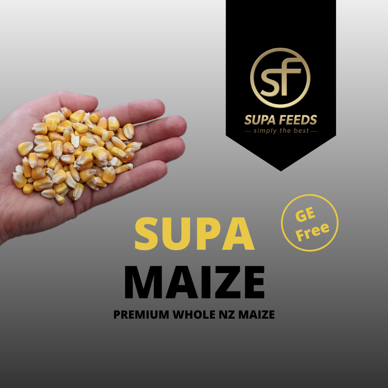 Supa Maize 20kg