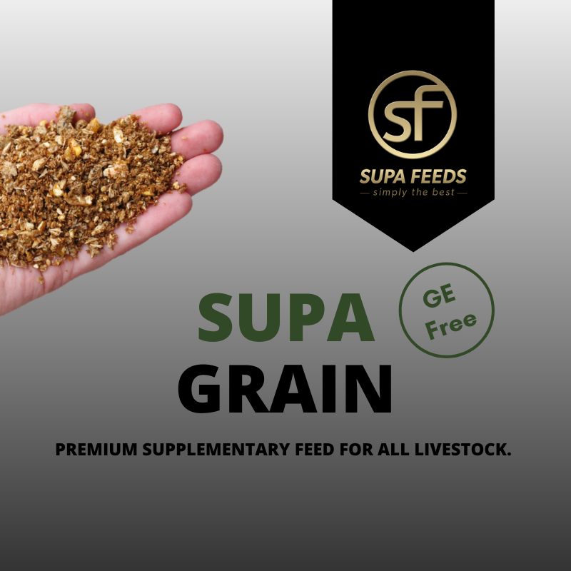 Supa Grain Sample