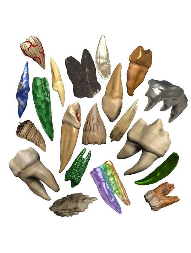 Dungeons & Dragons Teeth Of Dahlver-Nar Bite-Sized Artifact