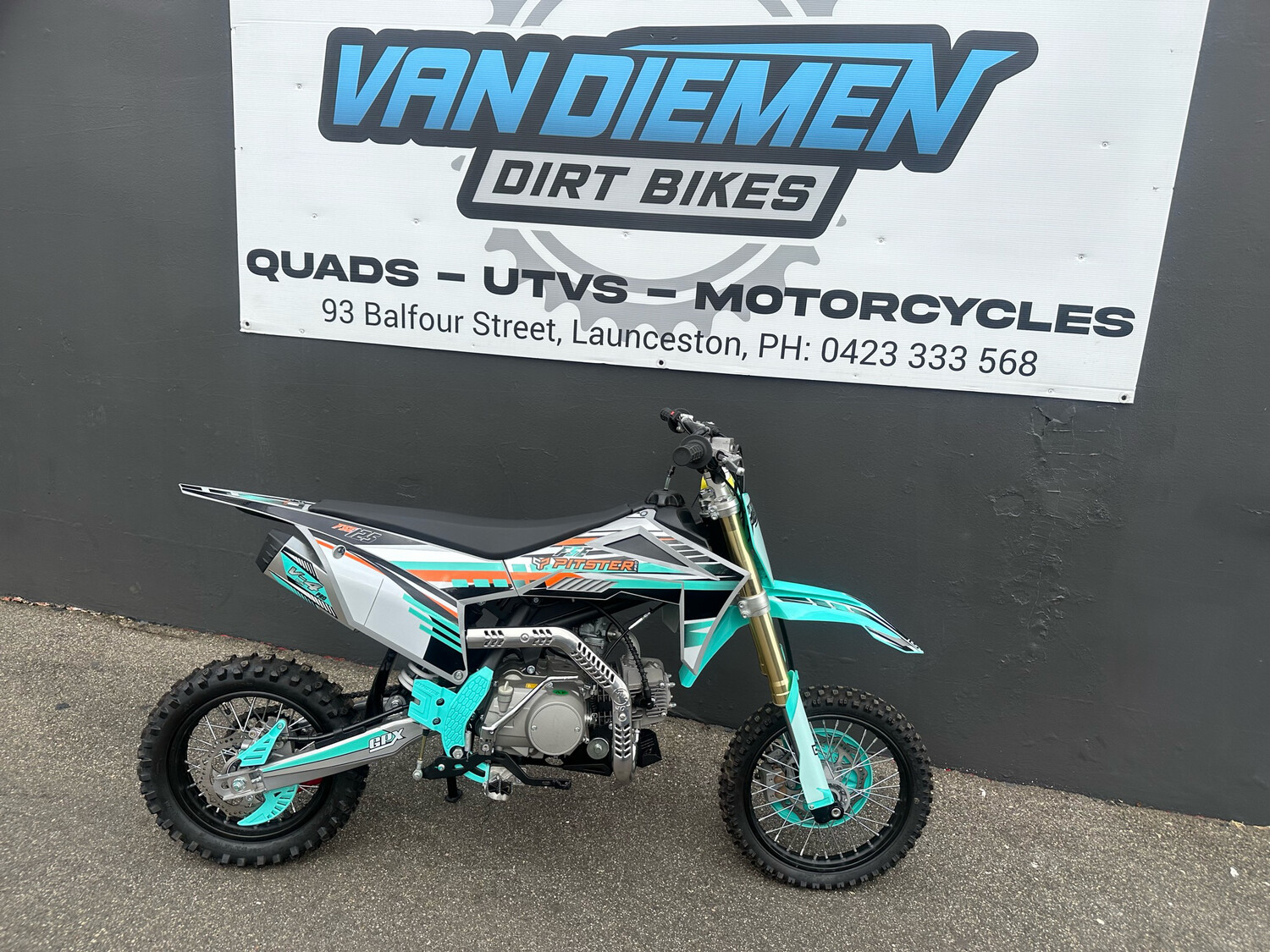 Pitster Pro FSE 125cc Manual