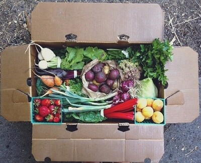 Organic Farm Box Program