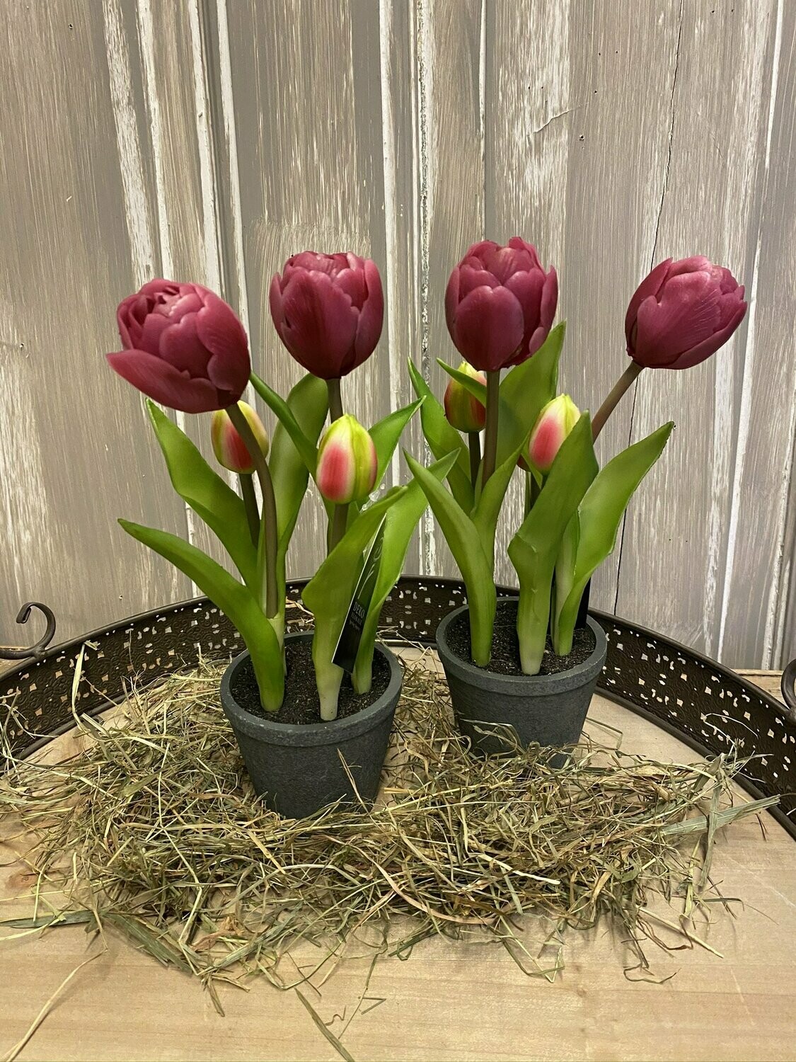 Tulpen im Topf, Beeren farbig, Set a 2