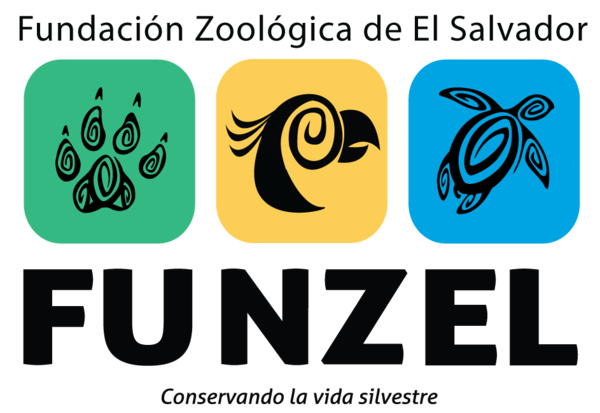 Funzel tienda en linea