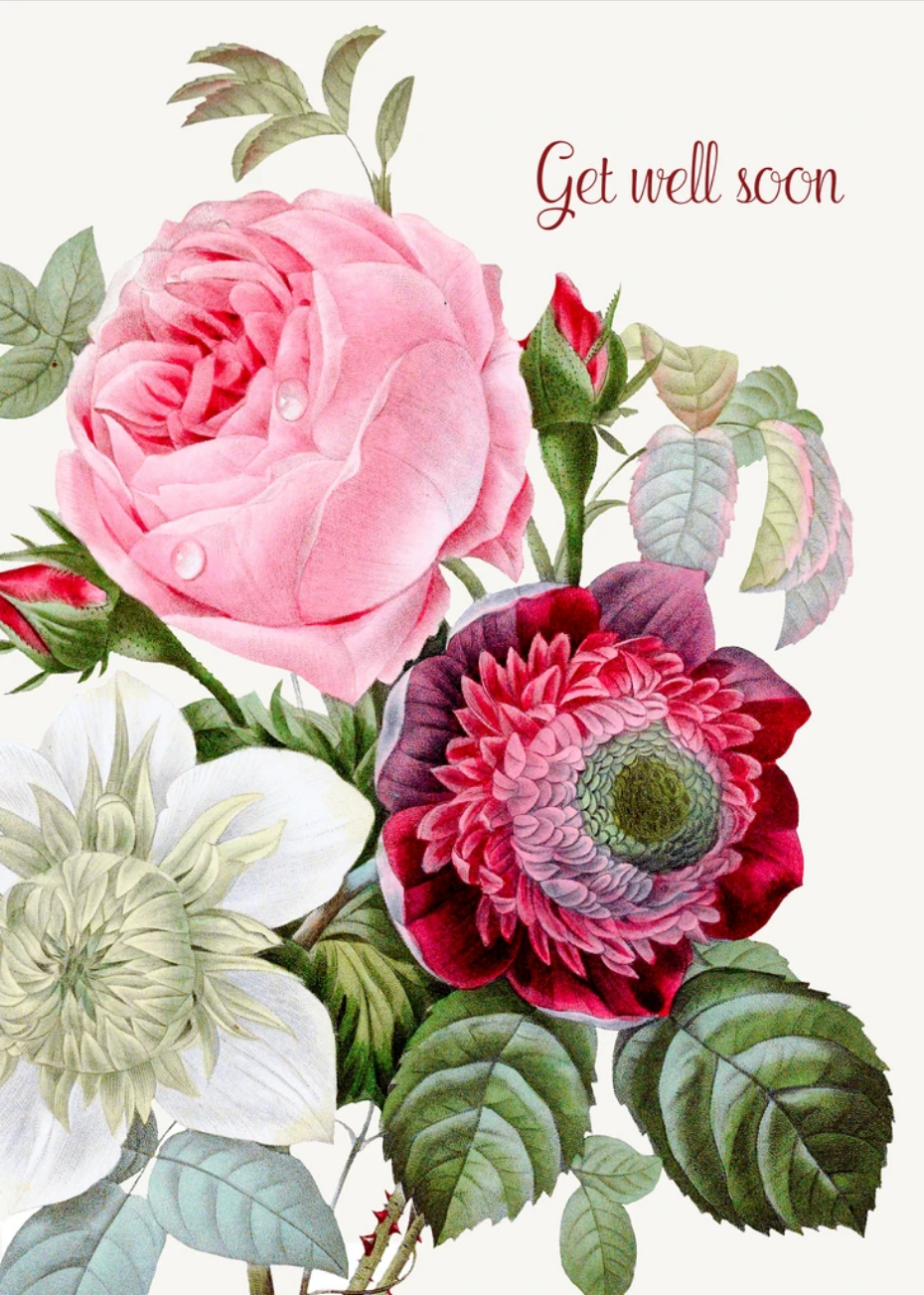 GET WELL SOON – Store – The Plant Foundry