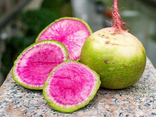 Baker Creek Radish Chinese Red Meat – Store – The Plant Foundry