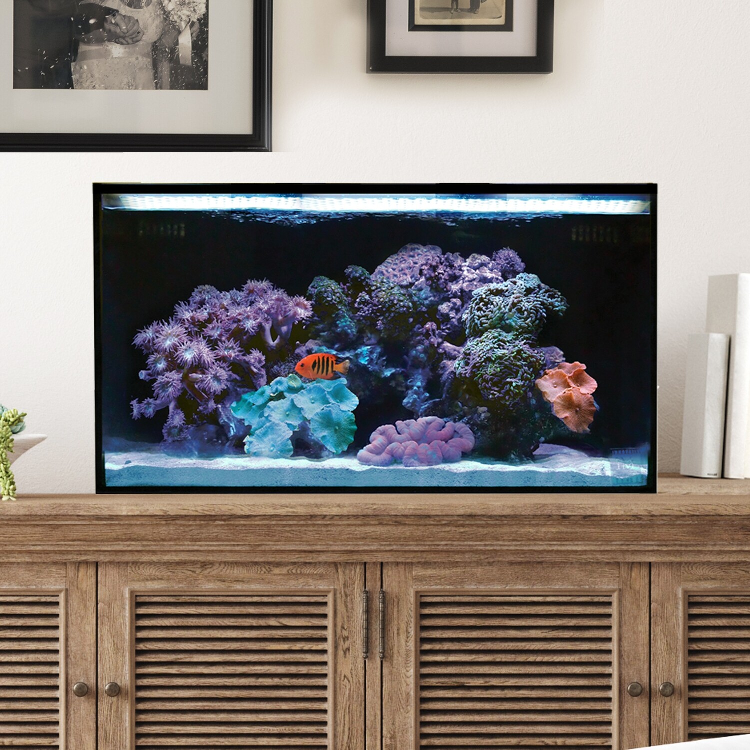Fusion Pro 20 AIO Aquarium [Desktop]