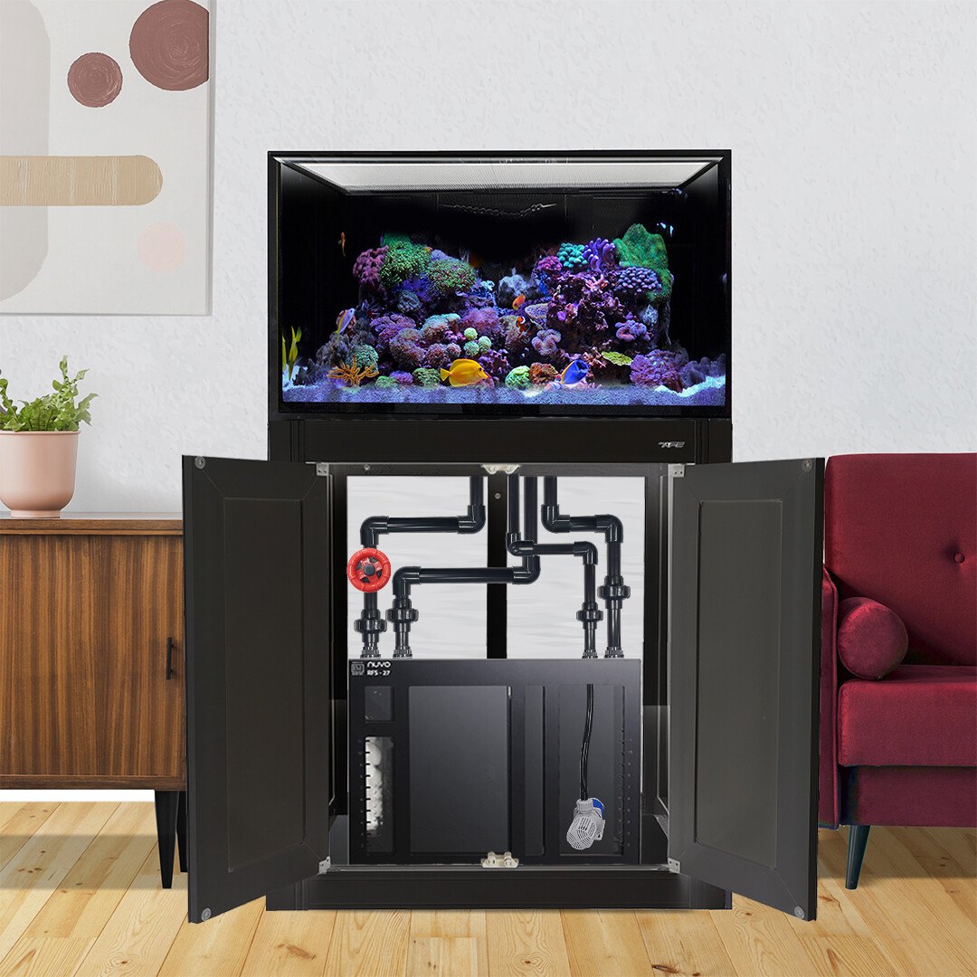 INT 75 Aquarium Complete Saltwater Reef System – RFS27 Sump | Mighty XL ...