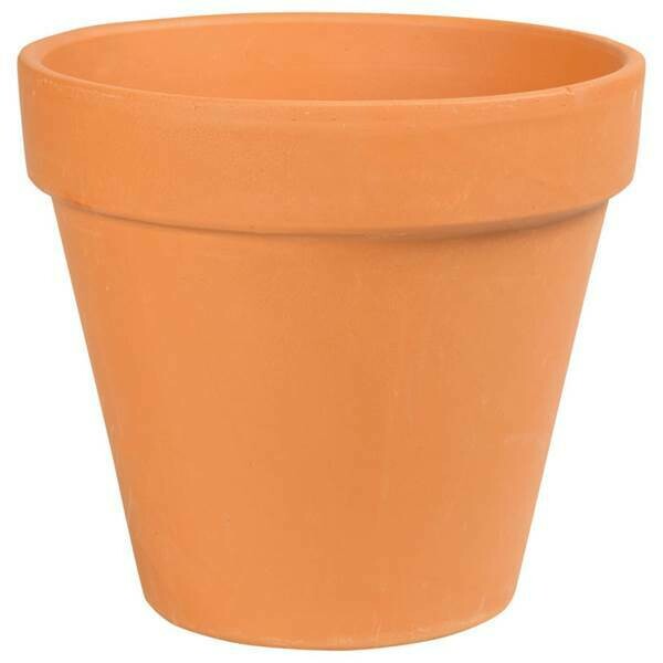 Terra Cotta Standard Clay Pot - 10 inch