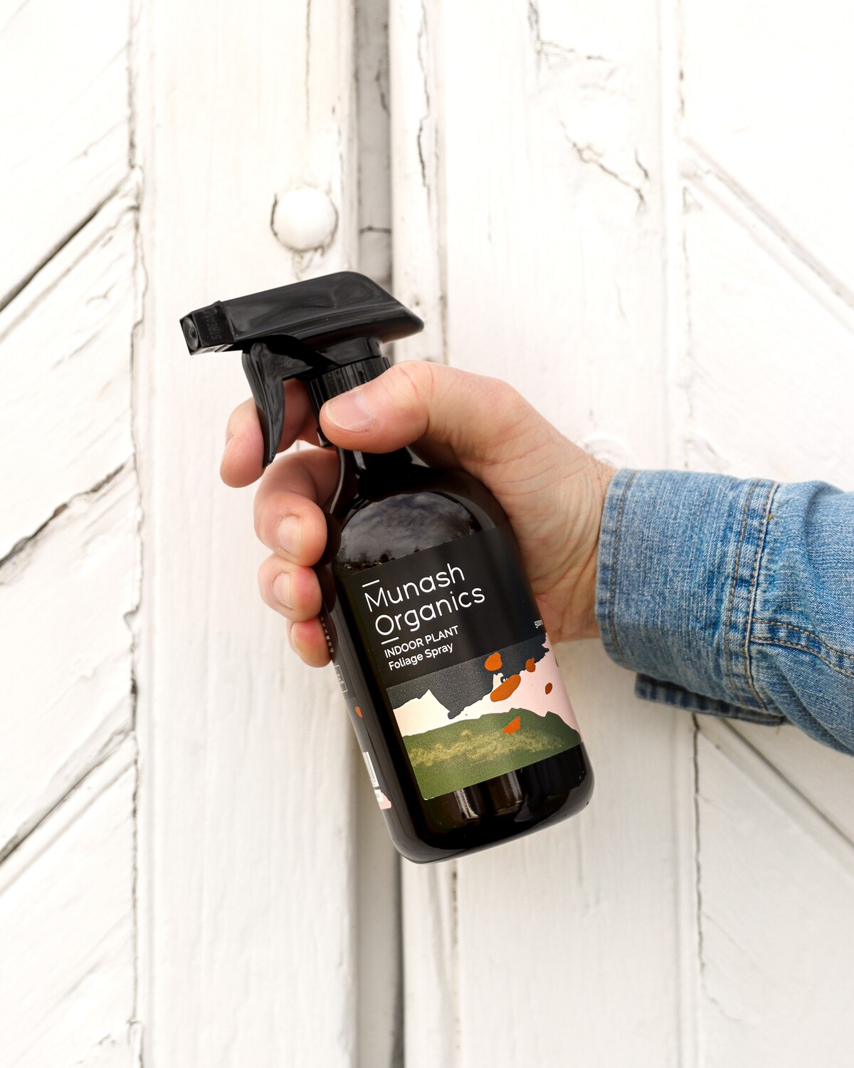 Indoor Plant Foliage Spray 500ml