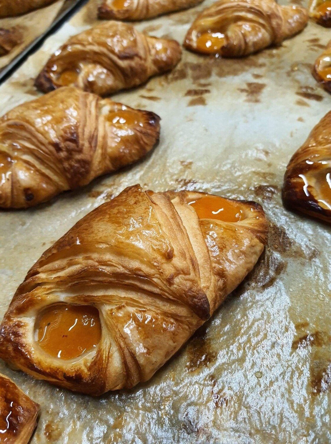 Oranais ( Apricot Pastry)