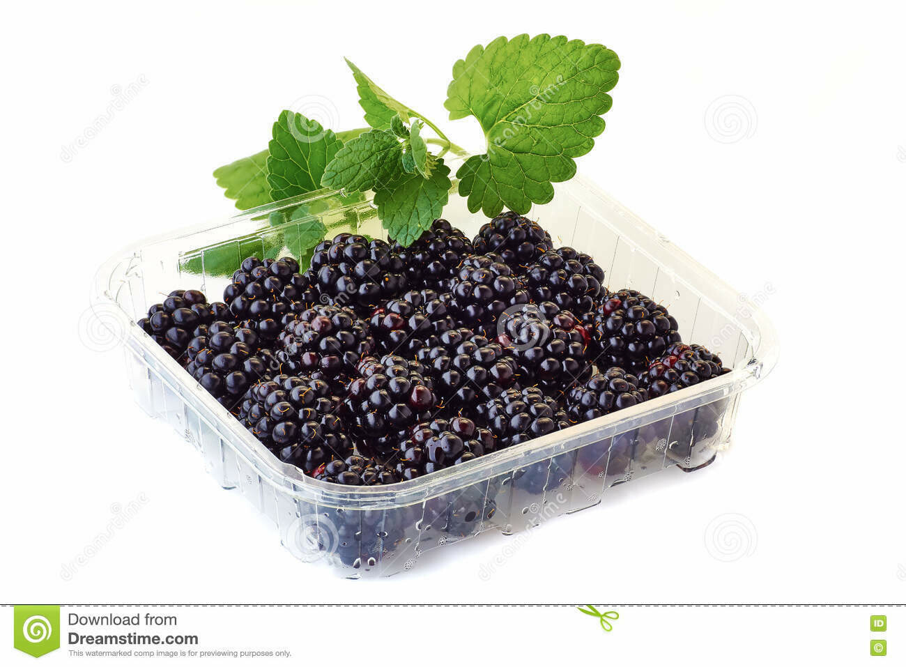 BERRIES- Blackberries Punnet