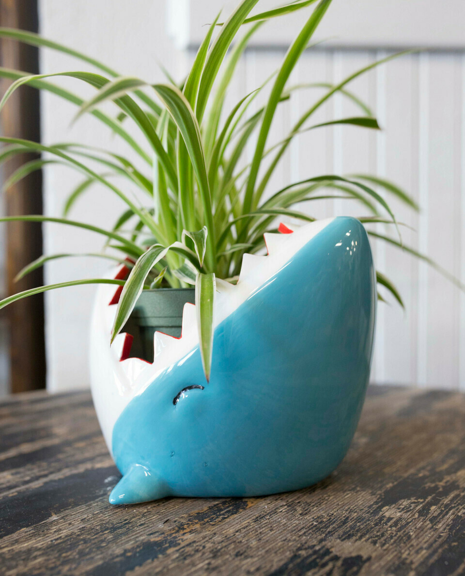 Shark Planter