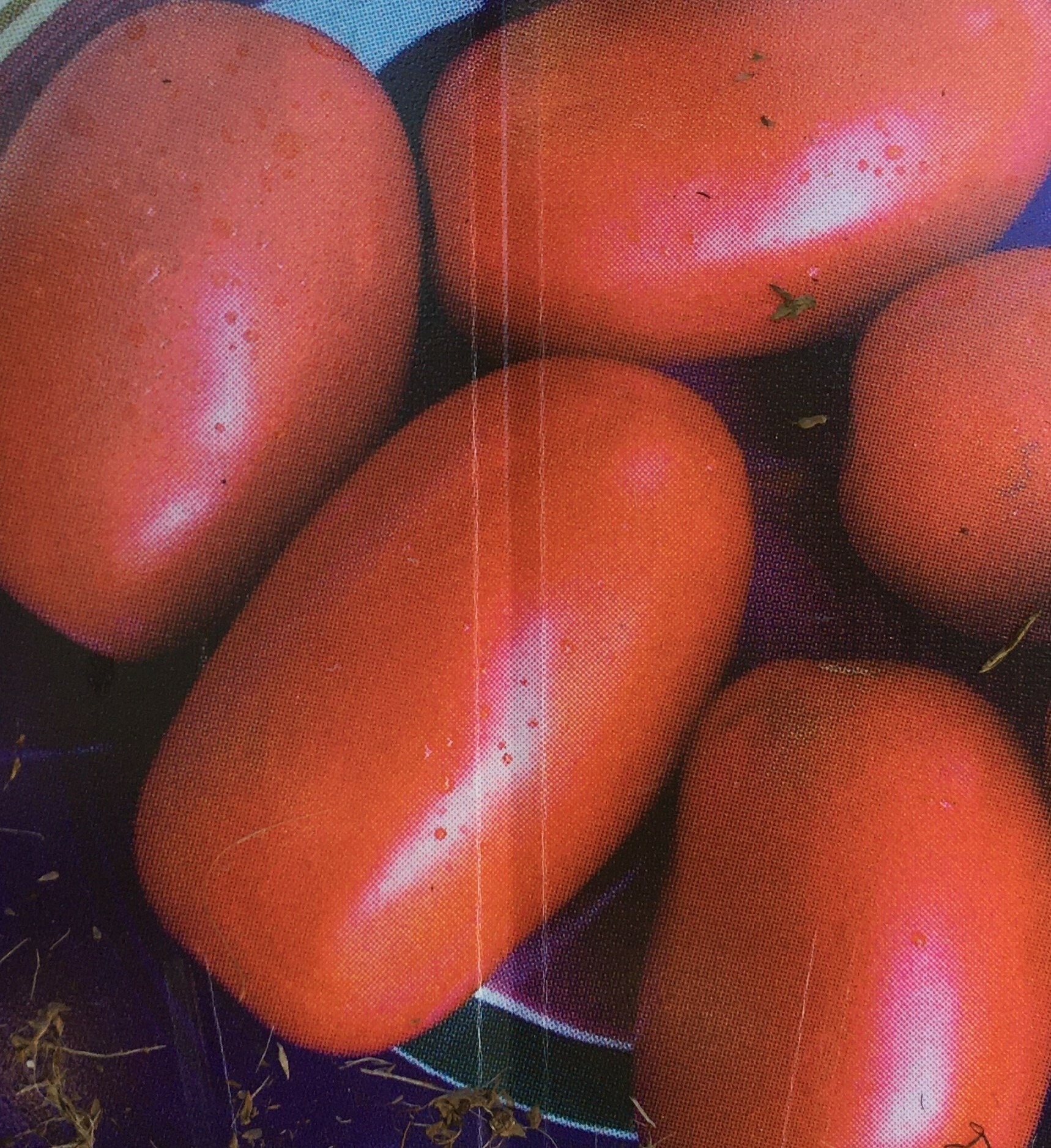 Roma Tomatoes (Paste) - Fruits And Vegetables - Terra Sol Garden Center ...