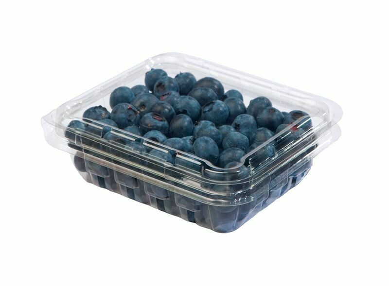 Organic Blueberries - 6oz