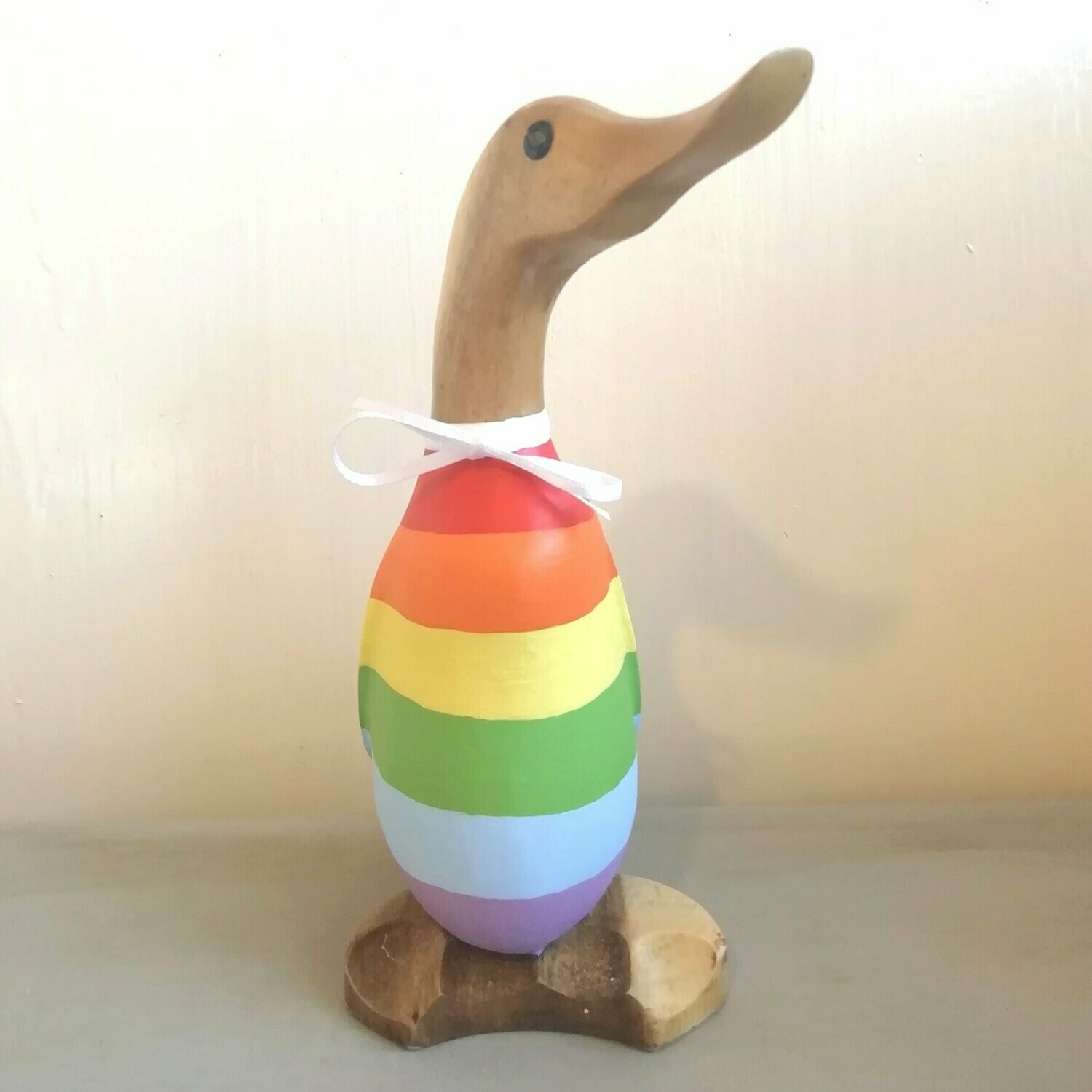 Rainbow Duck