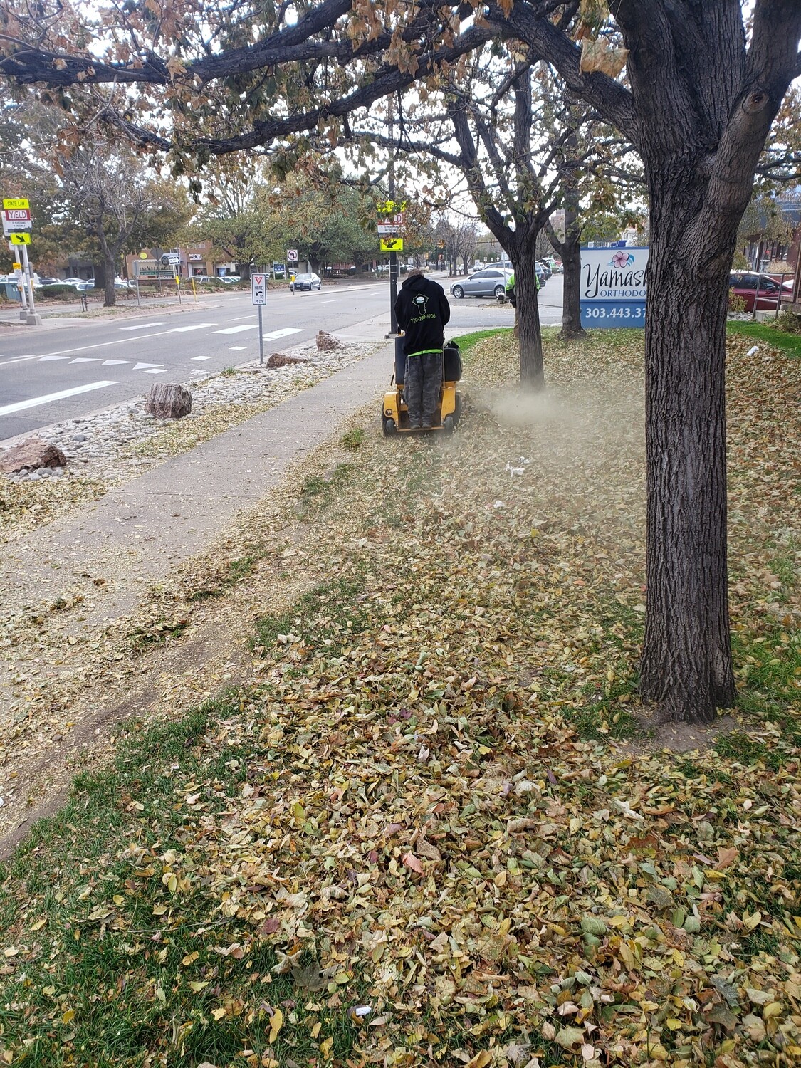 Commercial Leaf Clean Up