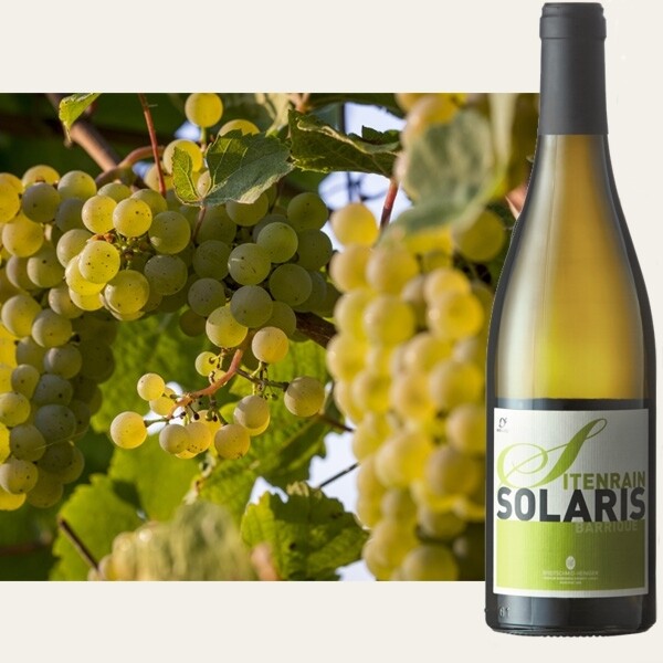 BIO Solaris Barrique (Sitenrain, 75 cl) - Weisswein von Sitenrain