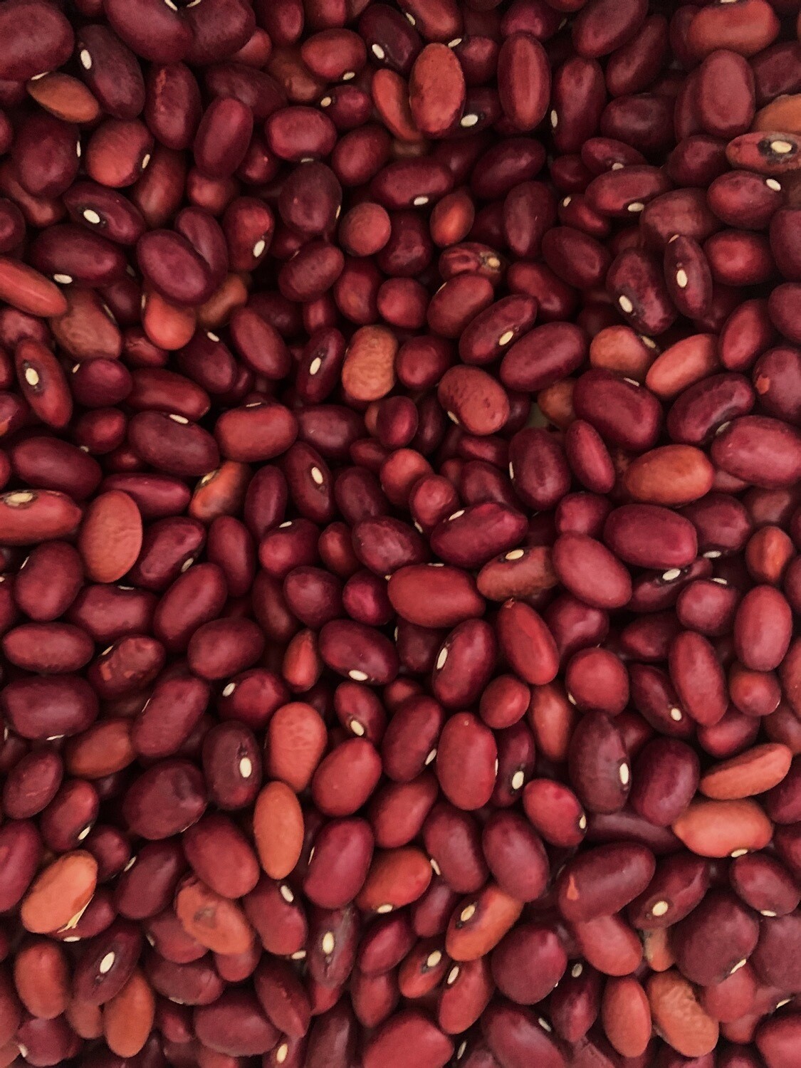 Dry Beans - Low's Champion - 1 lb bag