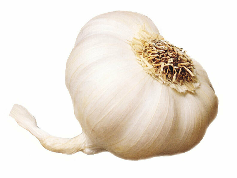 Garlic, 30Lb. Loose