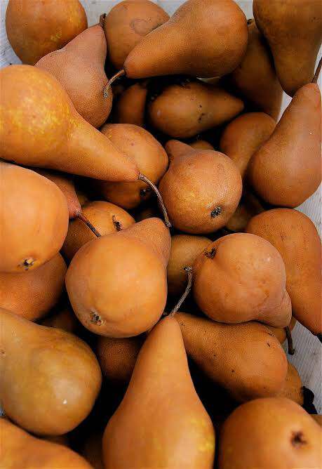 Brown Pears