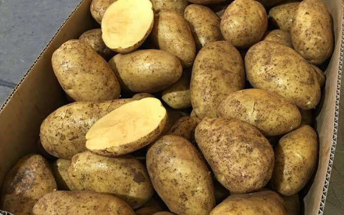 Dutch Cream Potatoes