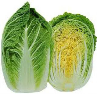 Wombok Cabbage