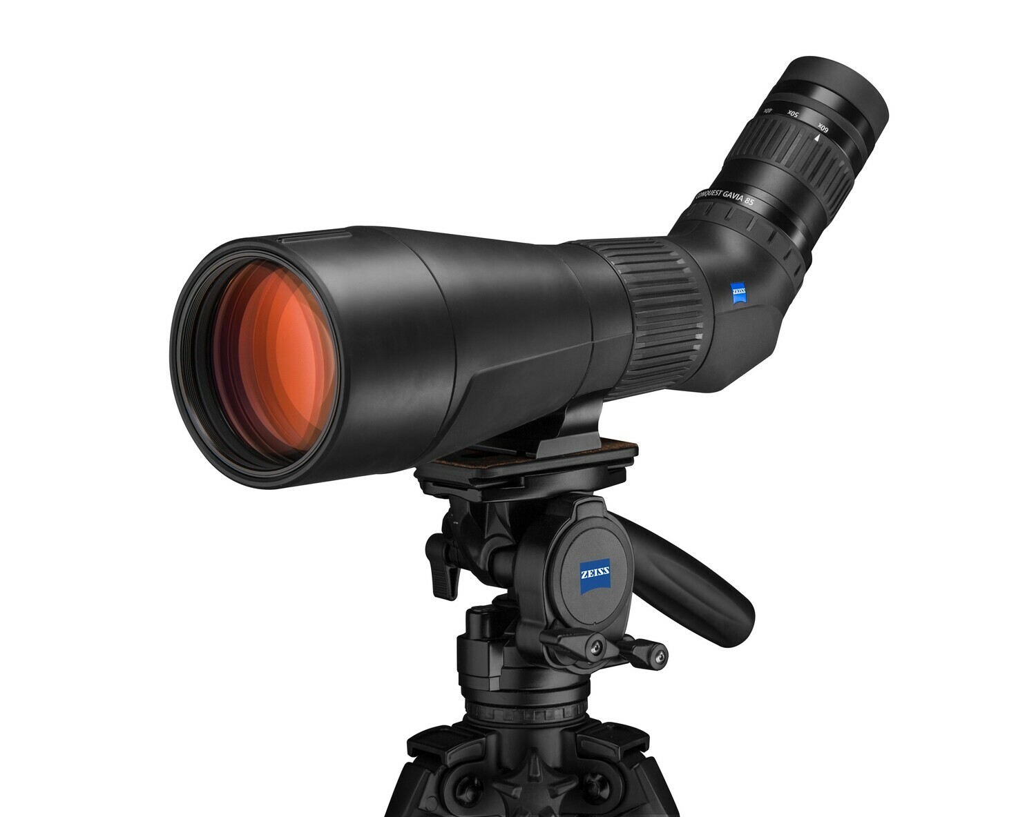 ZEISS Binoculars & Spotting Scopes