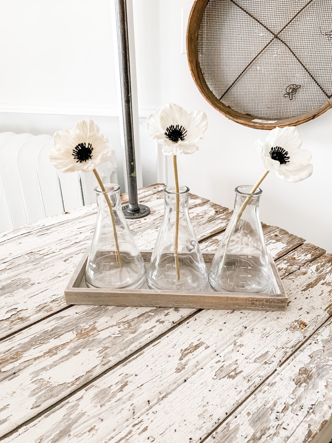 Glass Beaker Vase Trio