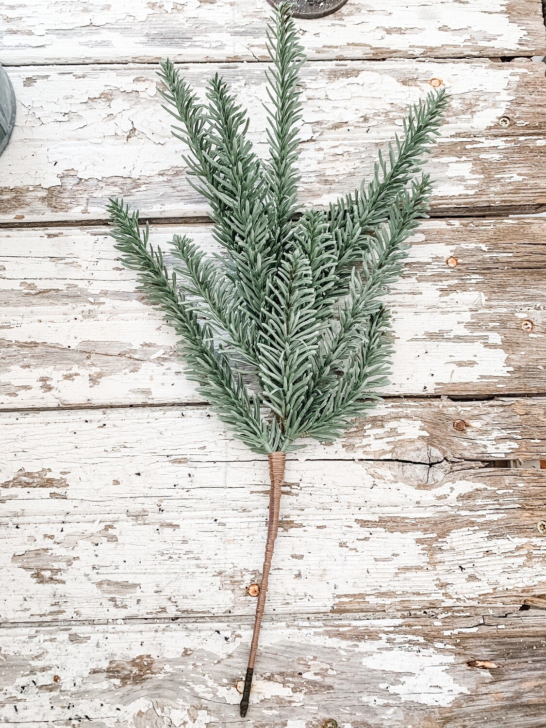 Fir Tip Stem