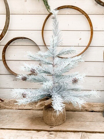 Silver Crest Pine Tree