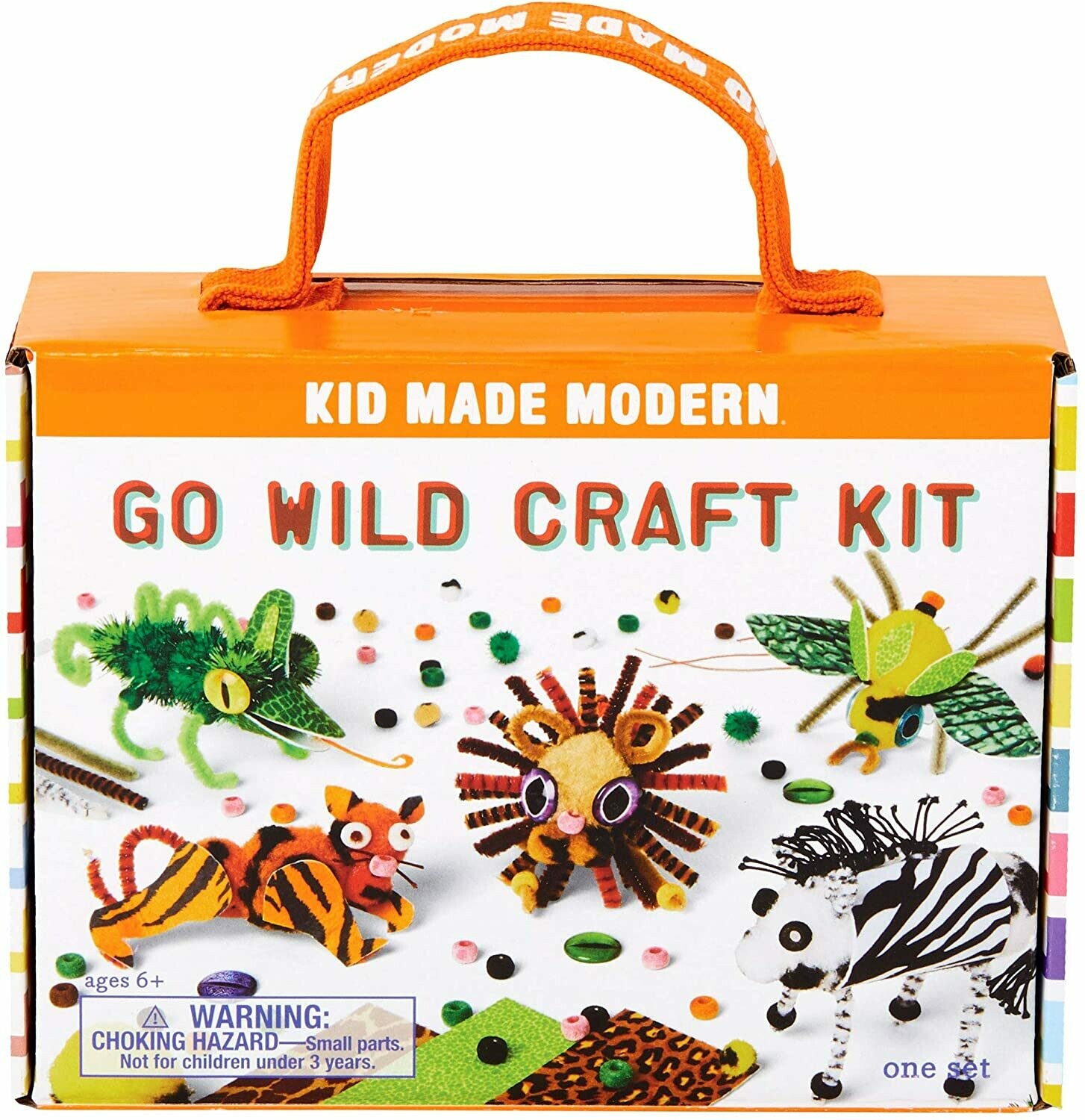 Go Wild Craft Kit