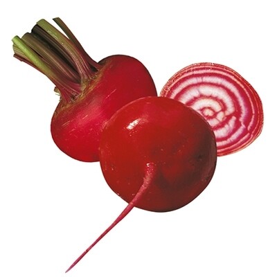 BIETOLA BIETA ROSSA/RAPA ROSSA - Beta vulgaris ORTO 9pz
