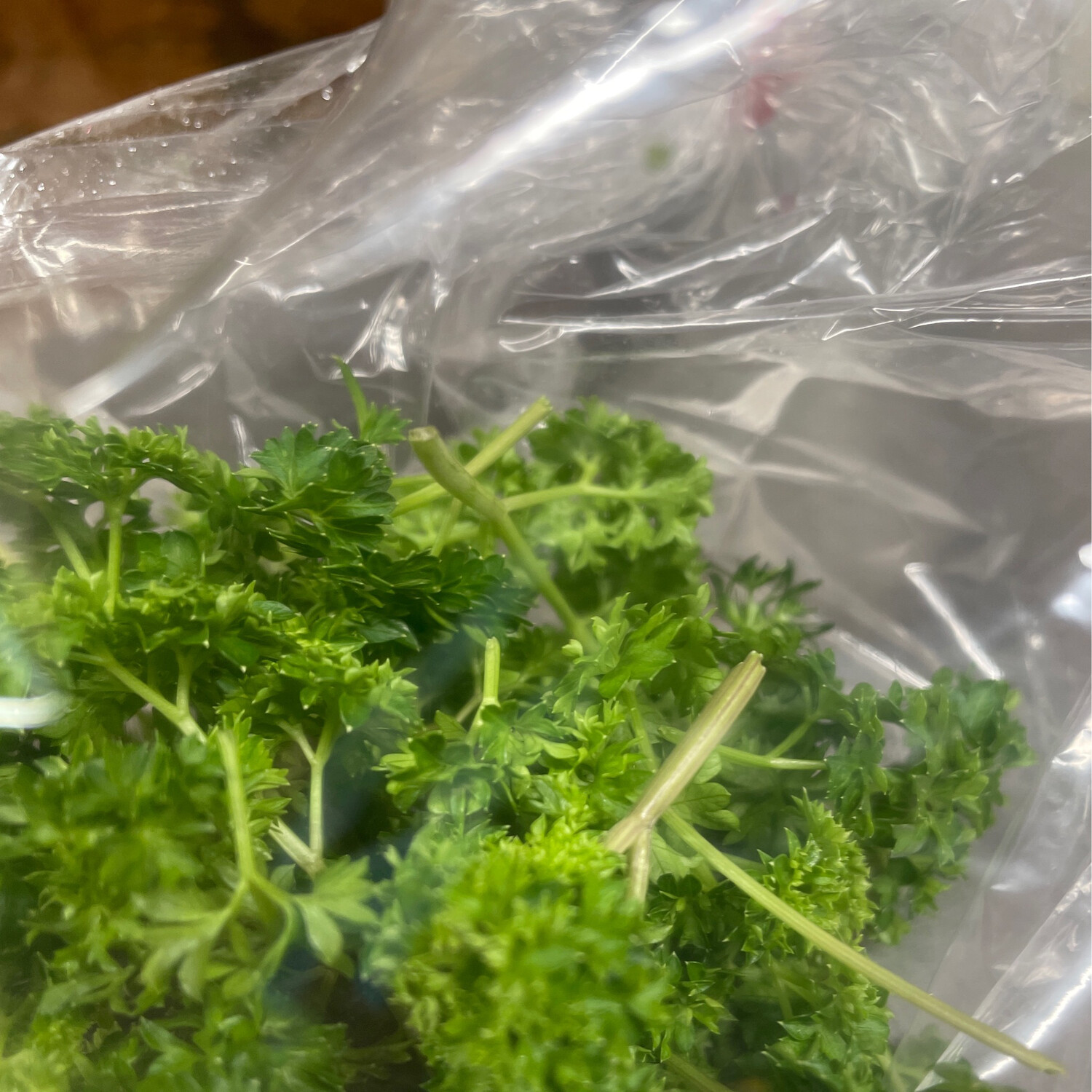 Fresh Parsley