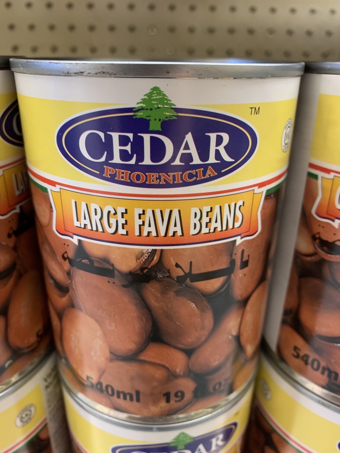 Large Fava Beans