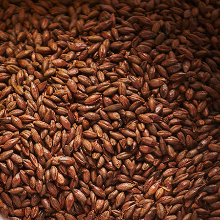 Carafa Special Malt Type II