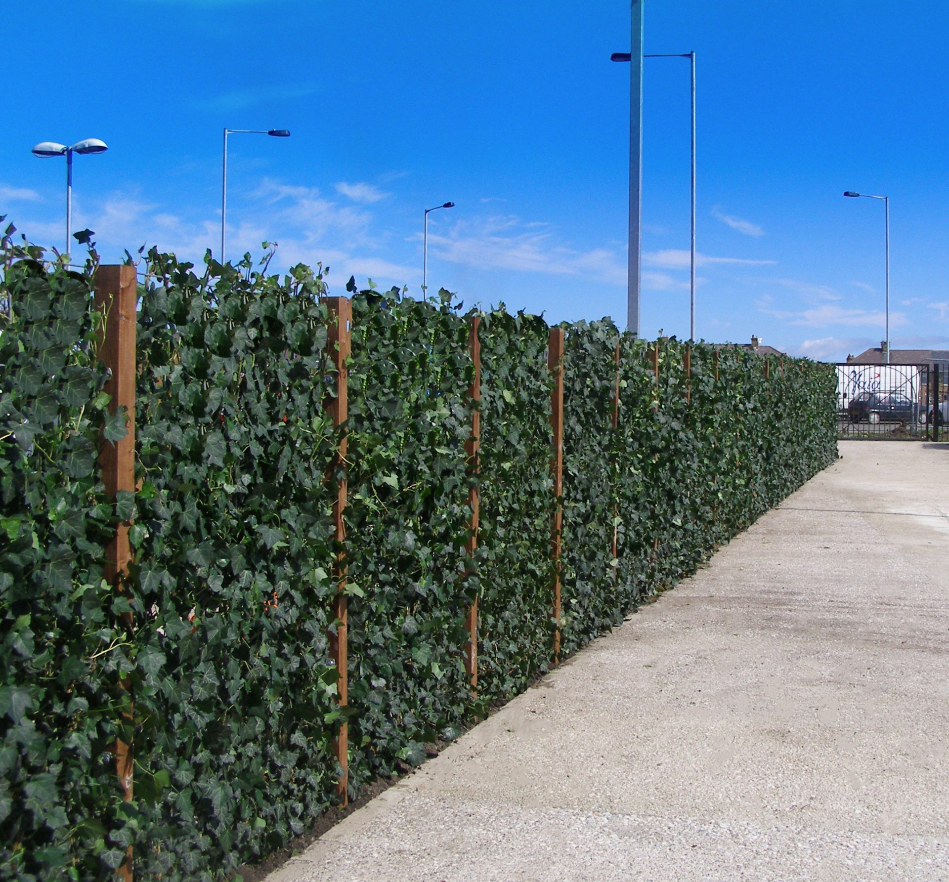 Mobilane Green Screens | Buy Direct | Various Species & Sizes