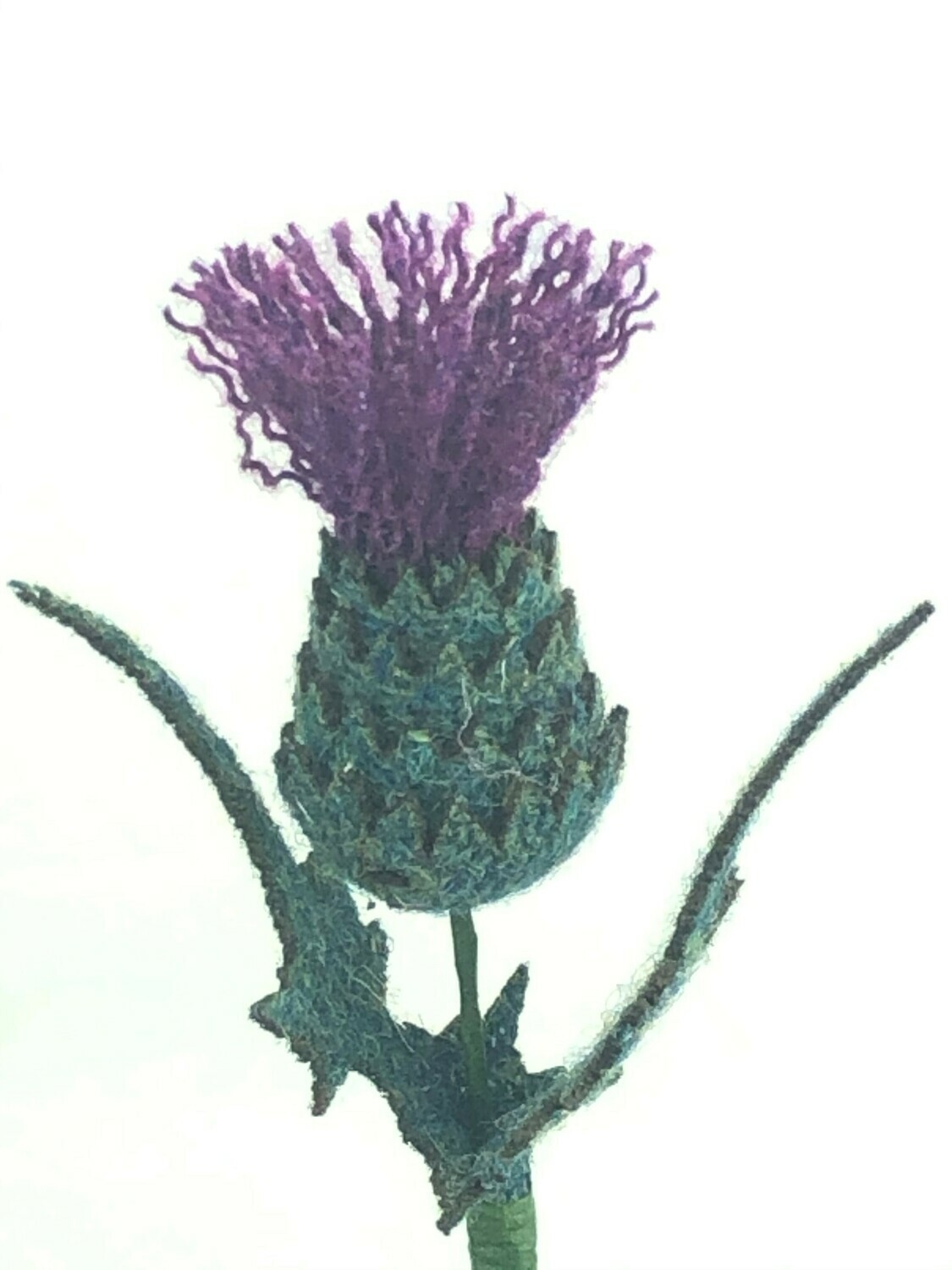 HARRIS TWEED Flowers